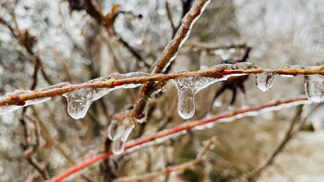 De nombreux élèves jeannois en congé forcé en raison du verglas | Radio ...