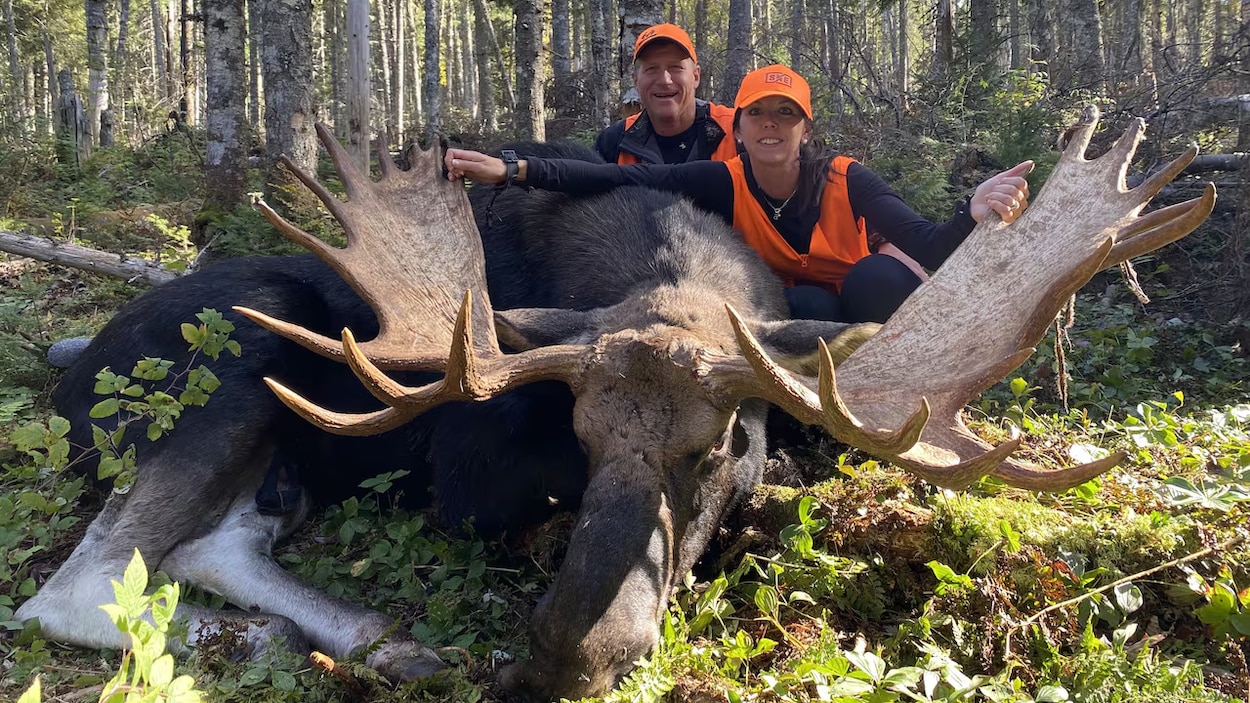 Une Néo-Brunswickoise bat un record de chasse à l’orignal à l’arc | Radio-Canada