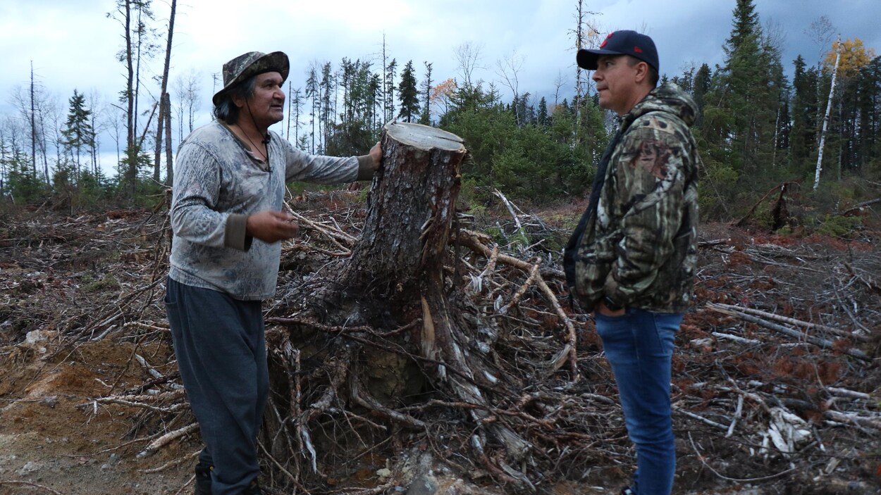 Foresterie chez les Atikamekw : une « avancée significative » avec une ...