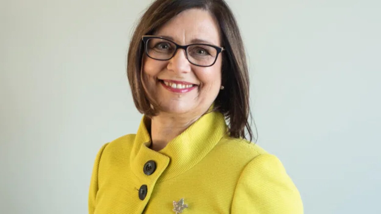 Une ex-candidate libérale a commis une infraction, selon Élections ...