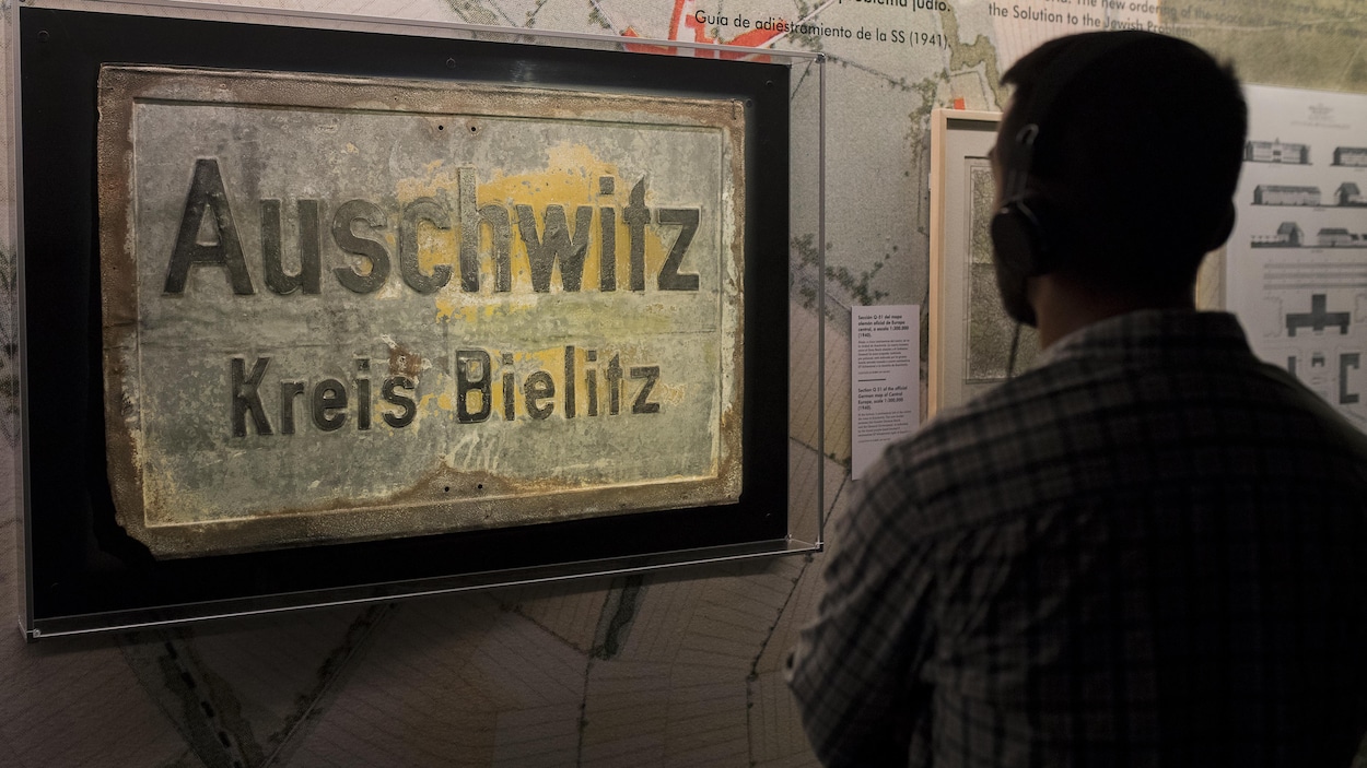 « Je suis allé dans les camps » : l’histoire d’Auschwitz racontée au ...