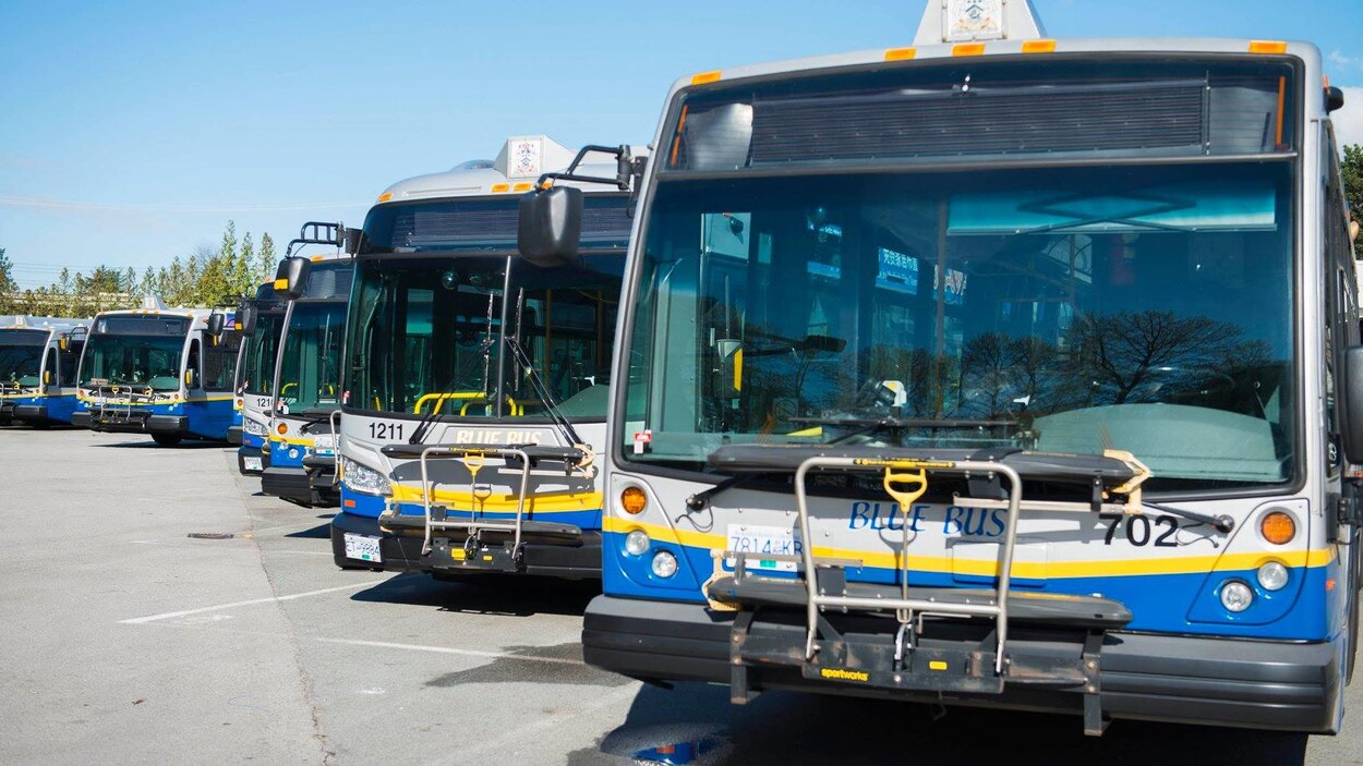 Les conducteurs d’autobus de West Vancouver votent en faveur d’un ...
