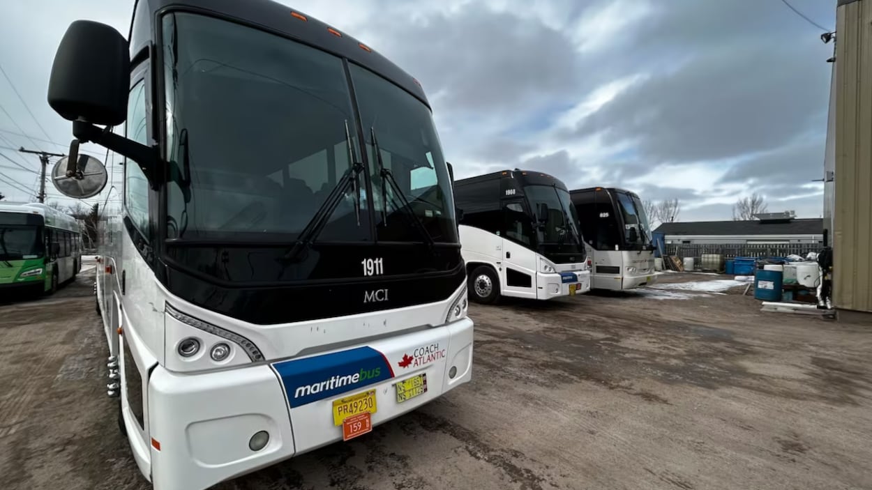 Maritime Bus veut introduire la tarification dynamique | Radio-Canada