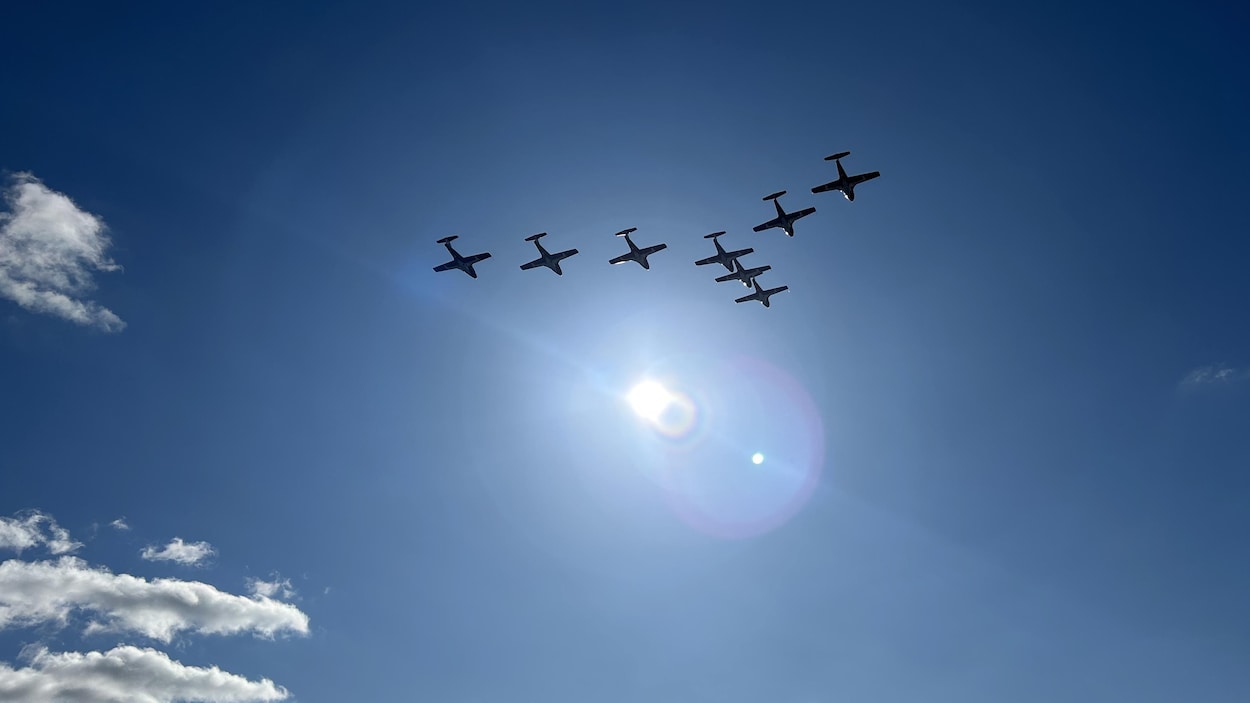 Suspension des Snowbirds : des vétérans demandent à Ottawa de revoir sa ...
