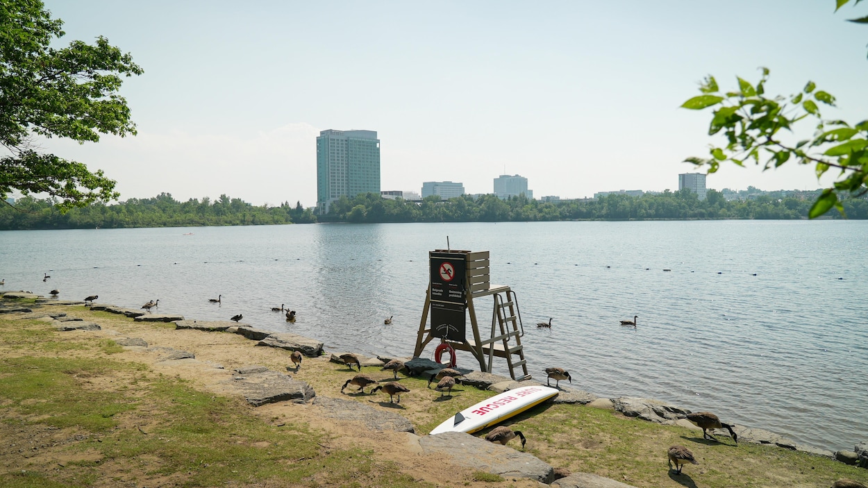 Réouverture partielle du lac Leamy | Radio-Canada