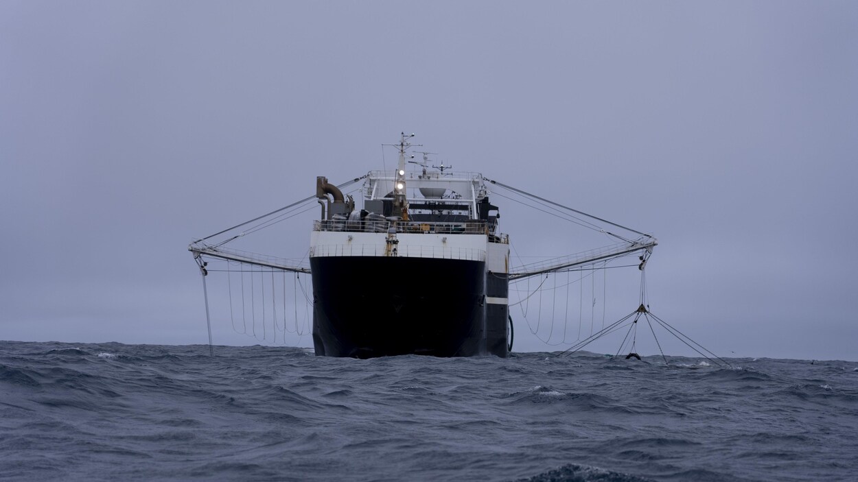 Sommet sur l’océan : Londres frappe fort contre le chalutage de fond ...
