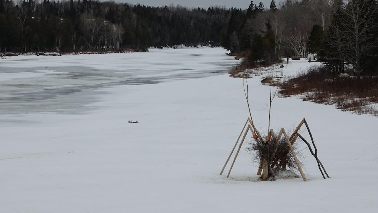 La bibitte de la rivière Bonaventure est utile pour contrer l’érosion ...