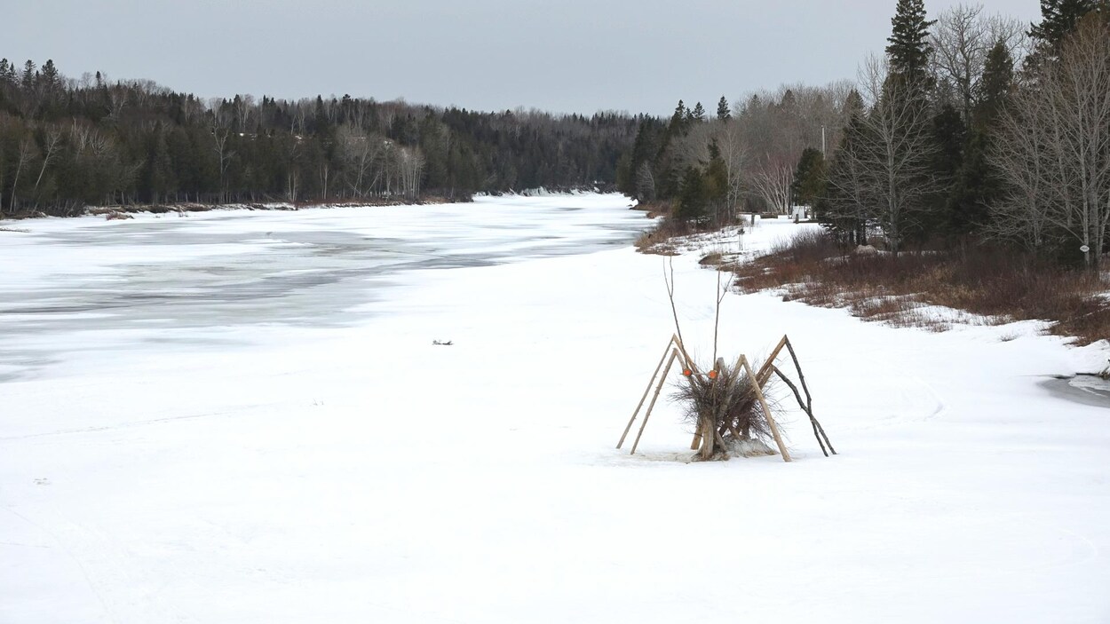 Une étrange bibitte pour aider à protéger la rivière Bonaventure | Info ...