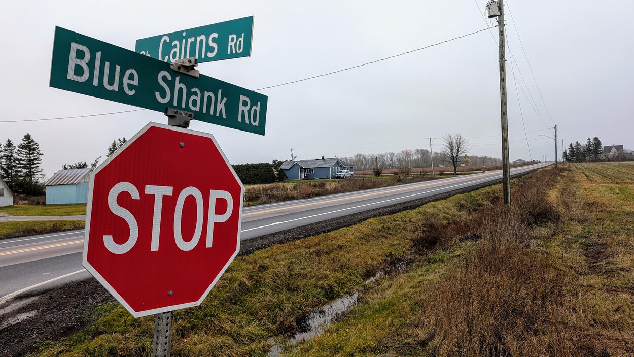 La conduite dangereuse sur la route Blue Shank inquiète des résidents ...
