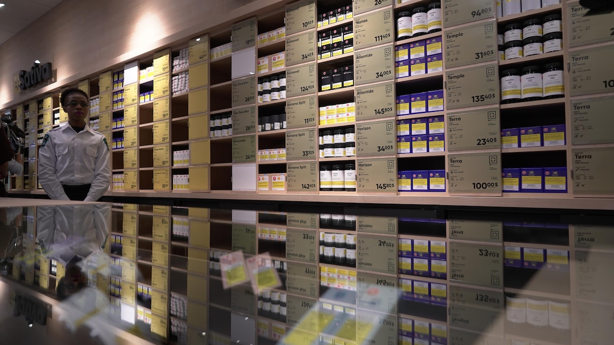 SQDC : les boutiques bien plus populaires que la vente en ligne ...