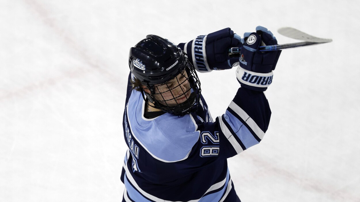 Le Néo-Brunswickois Bradly Nadeau signe un contrat de 3 ans avec les ...
