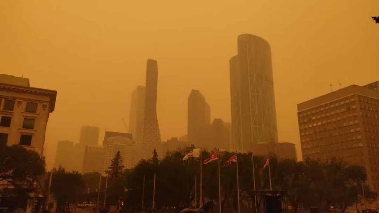 Les effets de la pollution de l’air sur la santé, l’autre préoccupation ...