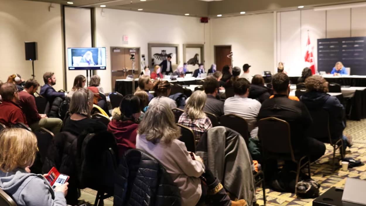 Cabin Radio et Vista Radio débattent pour une nouvelle licence | Radio ...