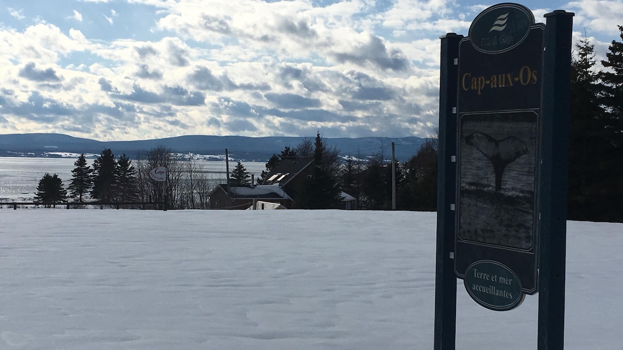 La Fête des neiges de Cap-aux-Os dévoile sa programmation | Radio-Canada.ca