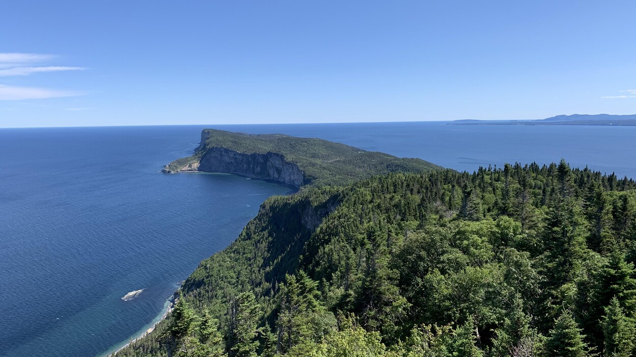4,3 M$ pour la biodiversité du parc national Forillon | Radio-Canada.ca