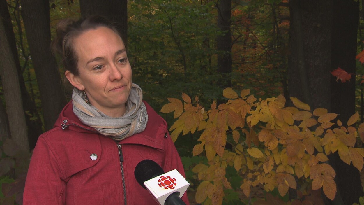 MRC Mékinac : la préfète Caroline Clément mise sur un climat sain | Radio-Canada