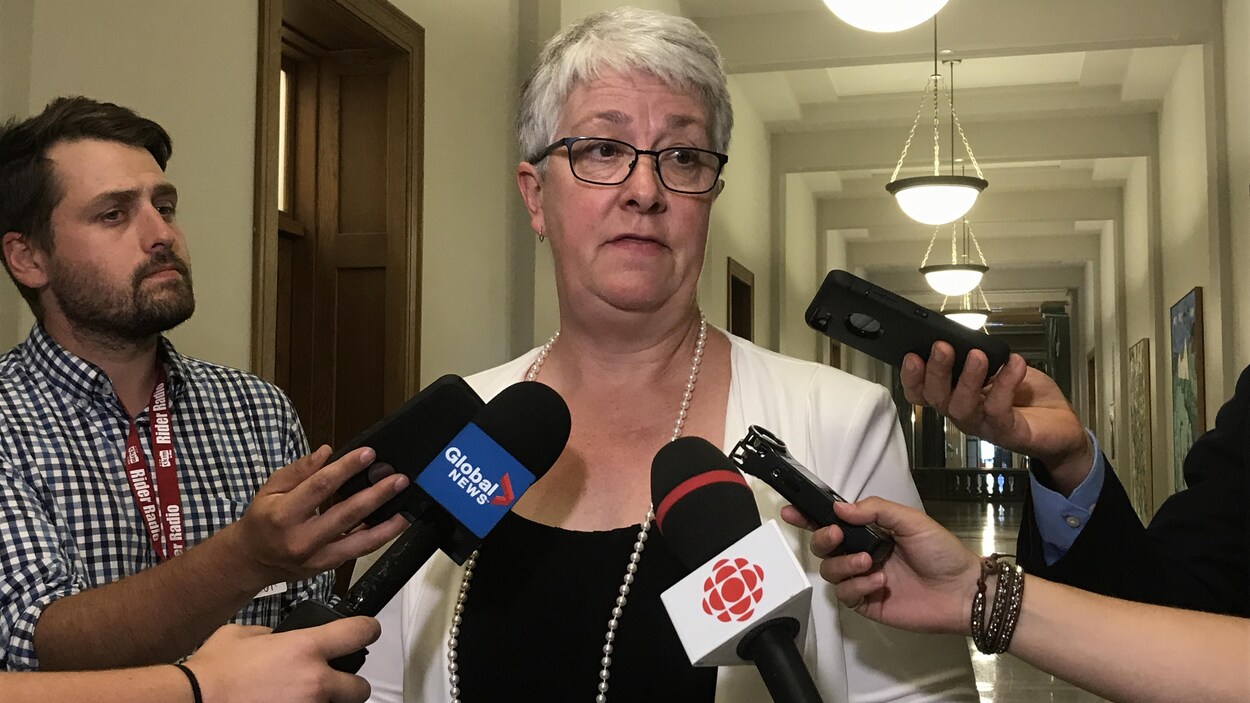 Un 5e compteur électrique prend feu, le NPD reproche un manque d’action ...