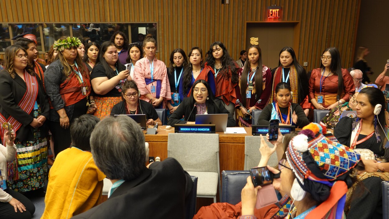 L’autodétermination et les jeunes, le combat des peuples autochtones à ...