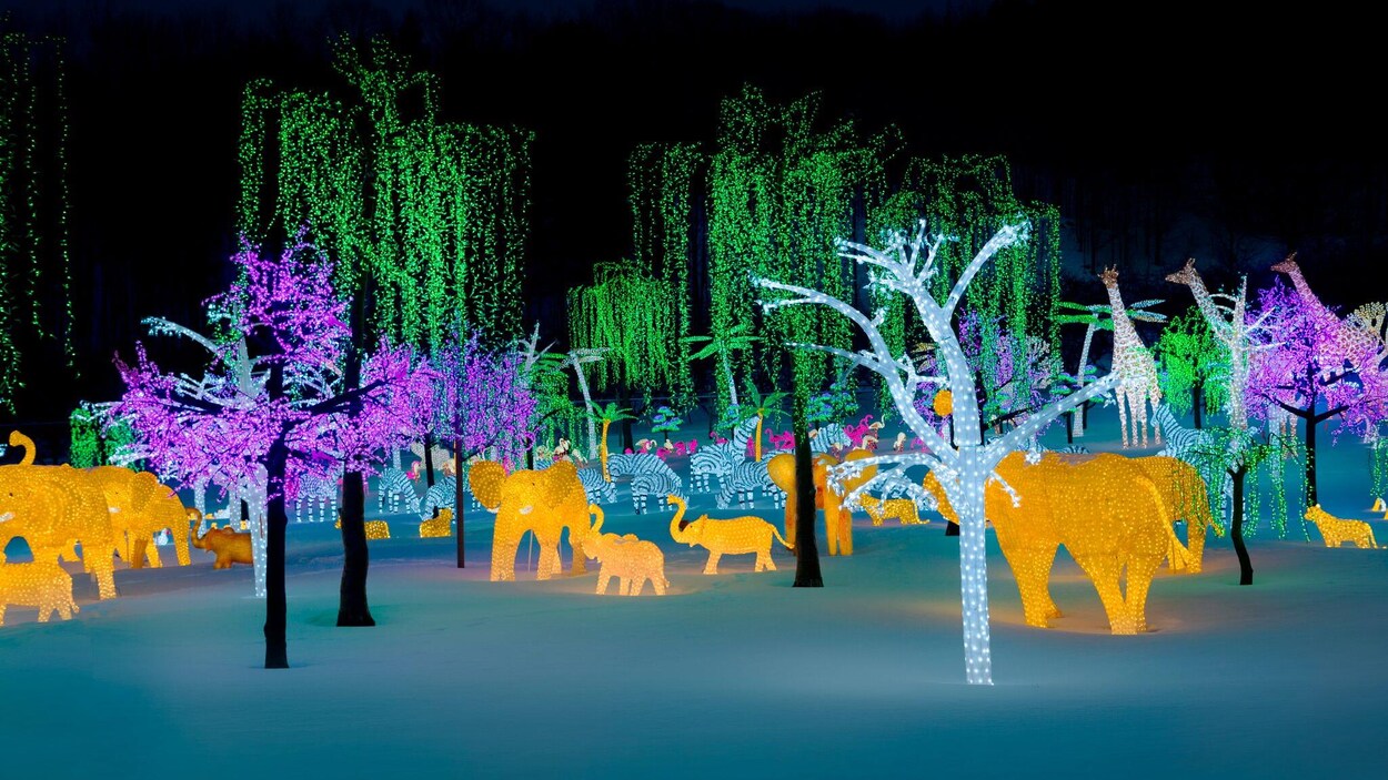 Illumi de Cavalia doit s'installer à Laval pour les cinq prochaines ... Illumi de Cavalia doit s'installer à Laval pour les cinq prochaines ...