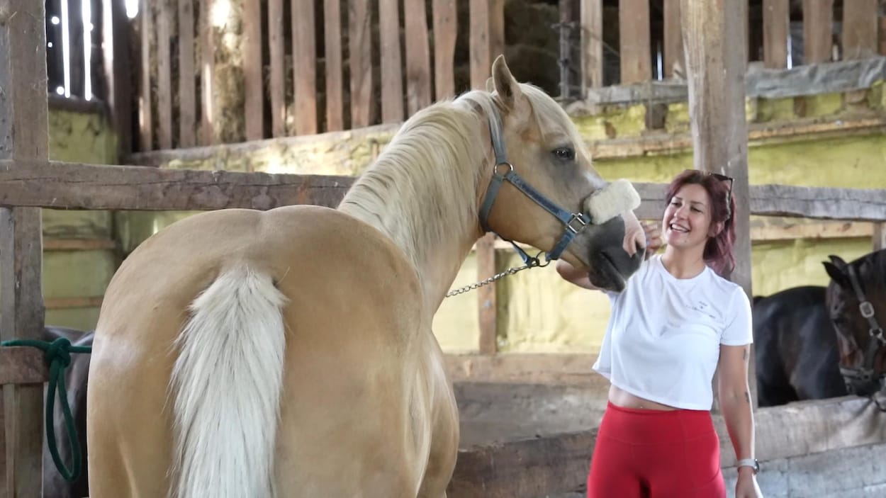 Une nouvelle vie attend des chevaux de l’est ontarien abandonnés ou ...