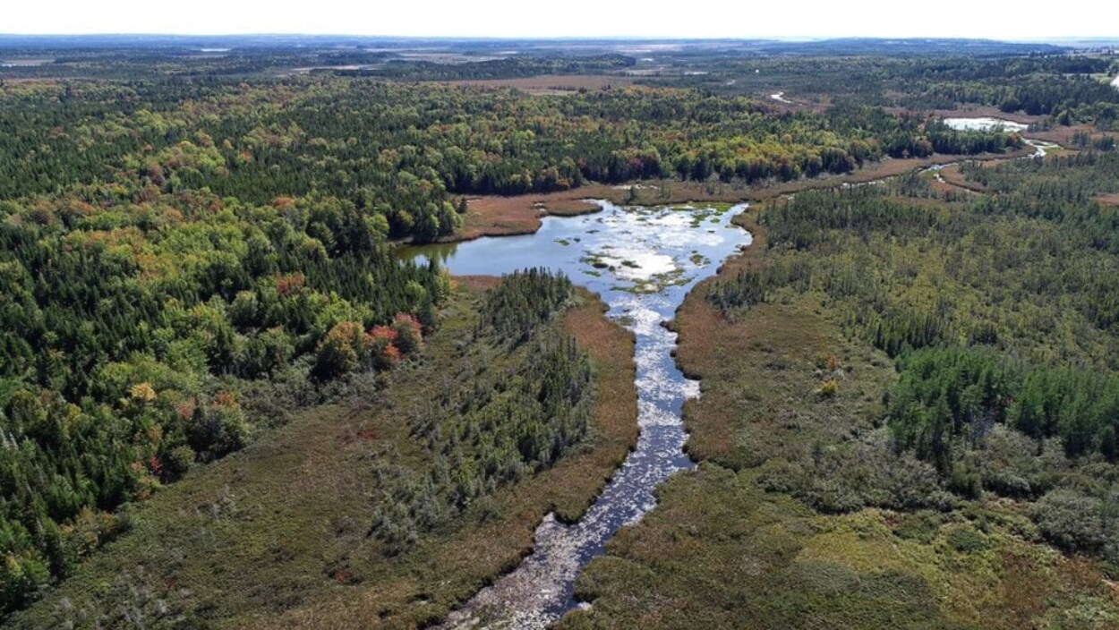 Ottawa propose 200 M$ pour la protection de l’isthme, mais la N.-É ...