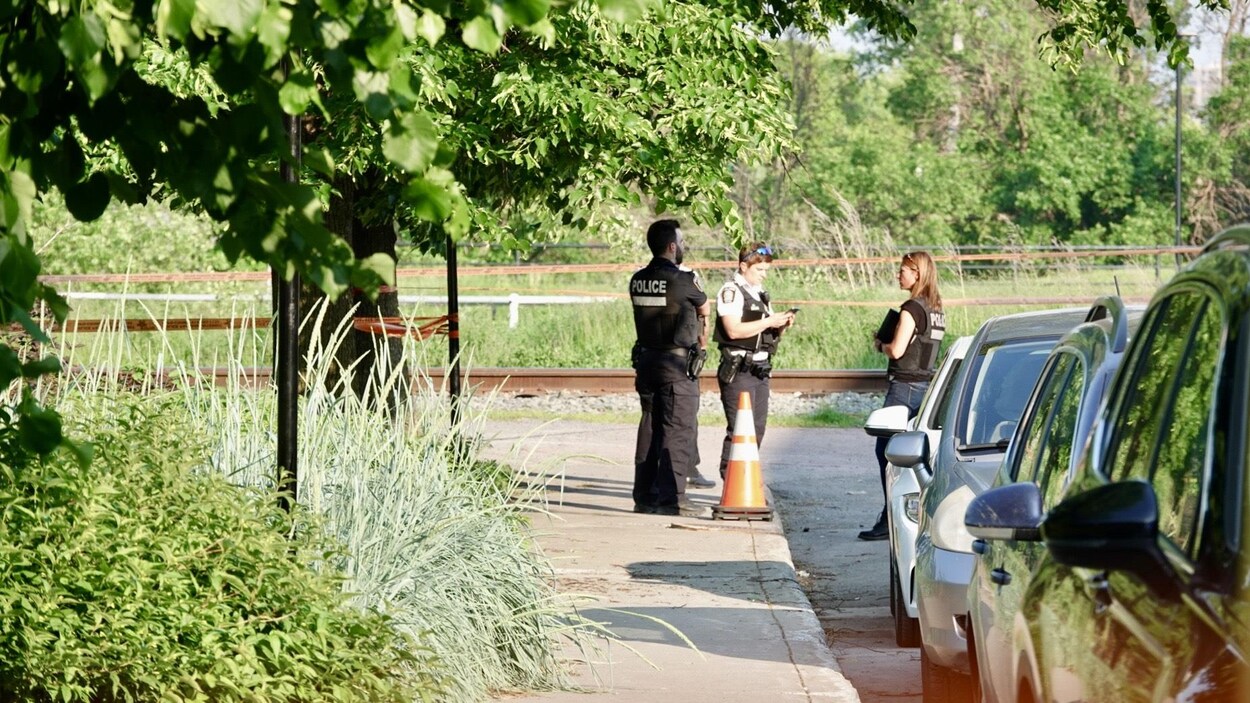 Un homme chute dans le canal Lachine, à Montréal, lors d’une querelle ...