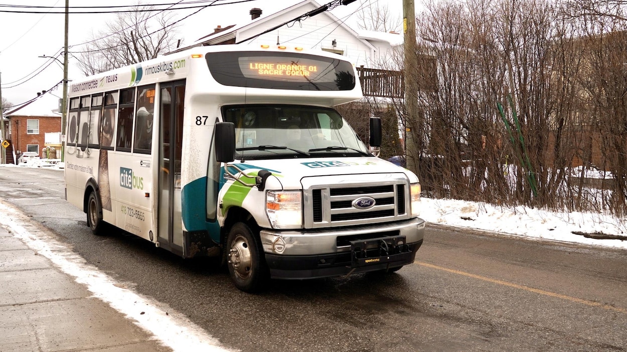 Citébus supprime des arrêts pour être plus ponctuel | Radio-Canada