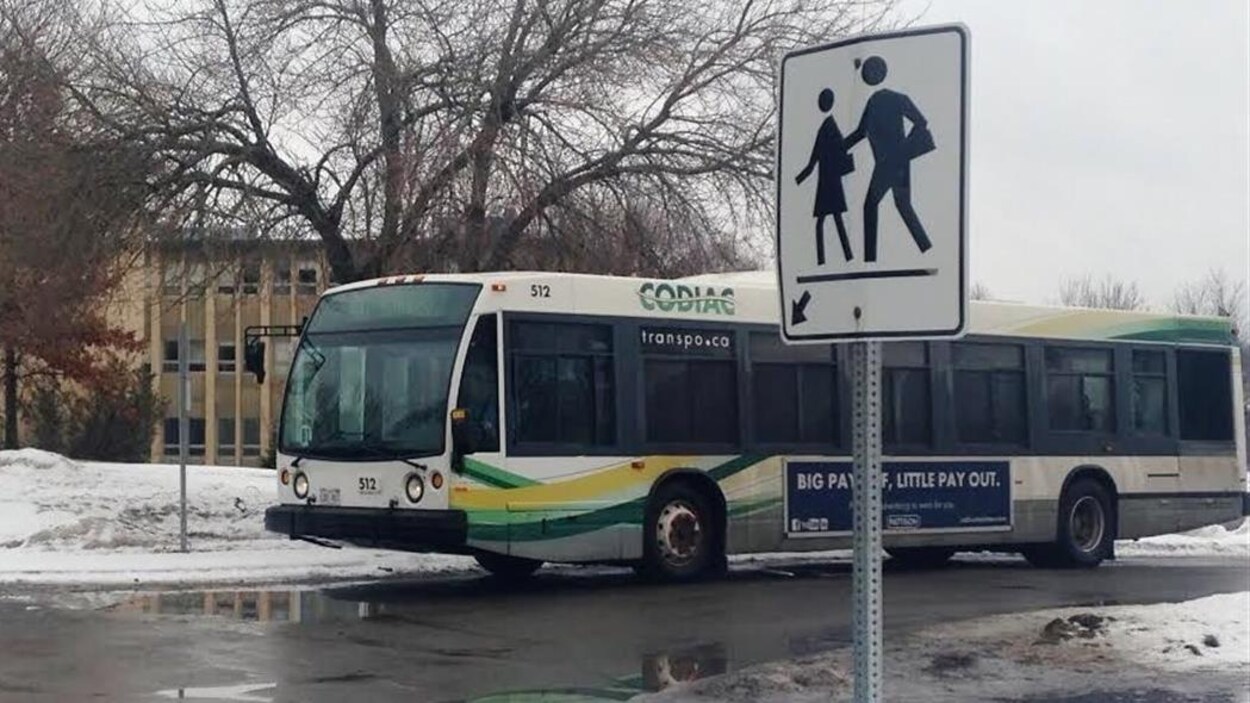 Payer son trajet de bus avec son téléphone à Moncton | Radio-Canada.ca