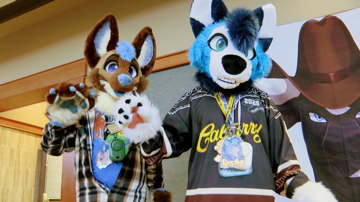 Calgary a accueilli son premier congrès de furries, le « Calfurry ...