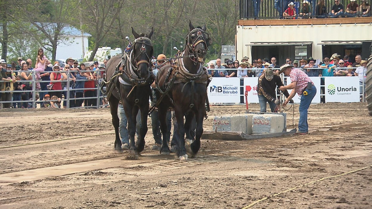 Mission accomplie pour le premier Festival western de Trois-Pistoles ...