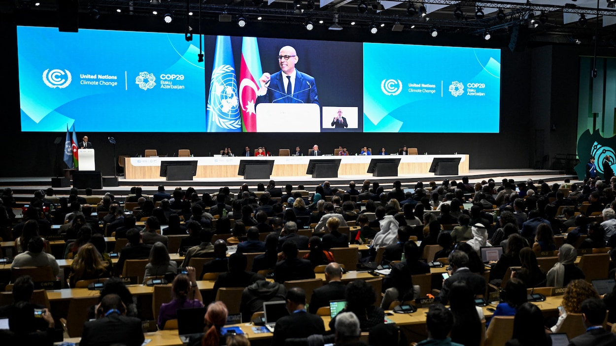 COP29 : les pays adoptent des règles de l’ONU pour le marché des ...