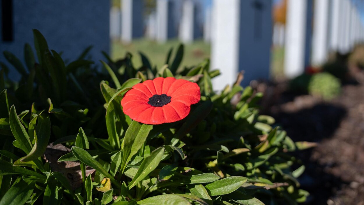 Le jour du Souvenir est souligné en Mauricie | Radio-Canada