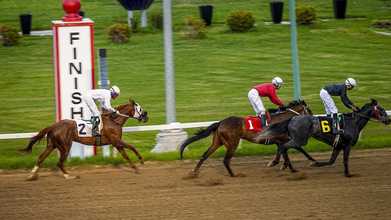 Reprise des courses de chevaux au pays | Coronavirus | Radio-Canada.ca