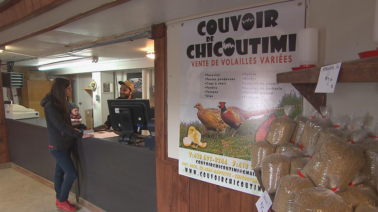 Adopter un animal pour Pâques | Radio-Canada.ca