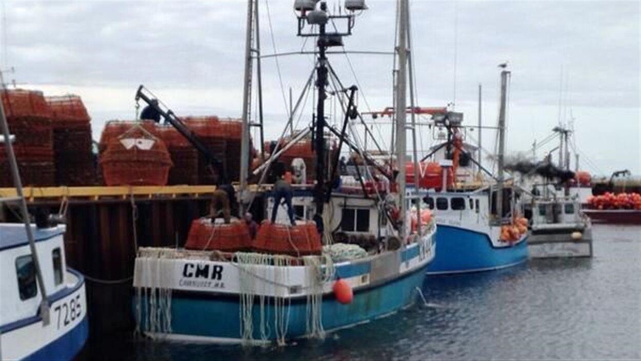 L’ouverture de la pêche du crabe des neiges a lieu à 2 h, le mardi 25 ...