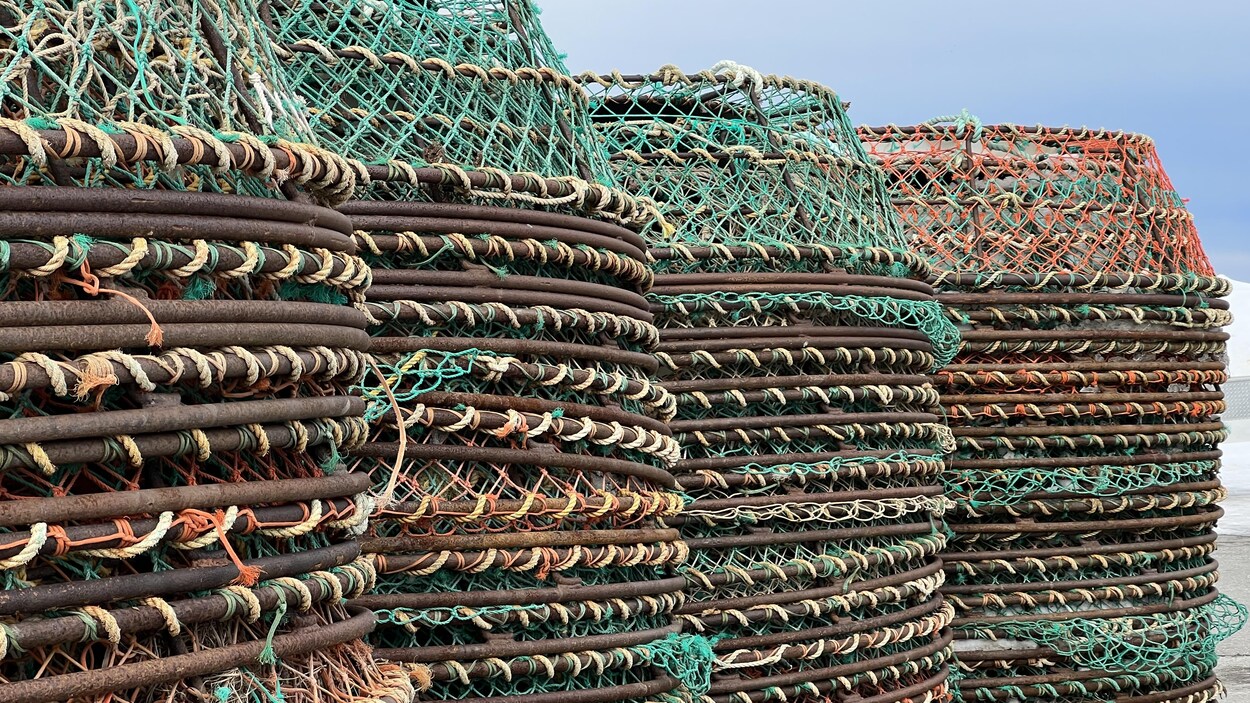 Pêche au crabe des neiges dans la zone 12 : vers une ouverture ...