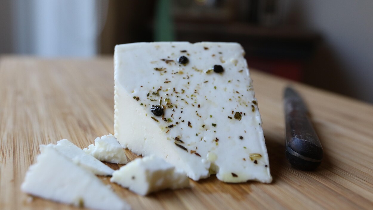 Un premier « feta» de chèvre bio pour Bellechasse | Ça vaut le détour
