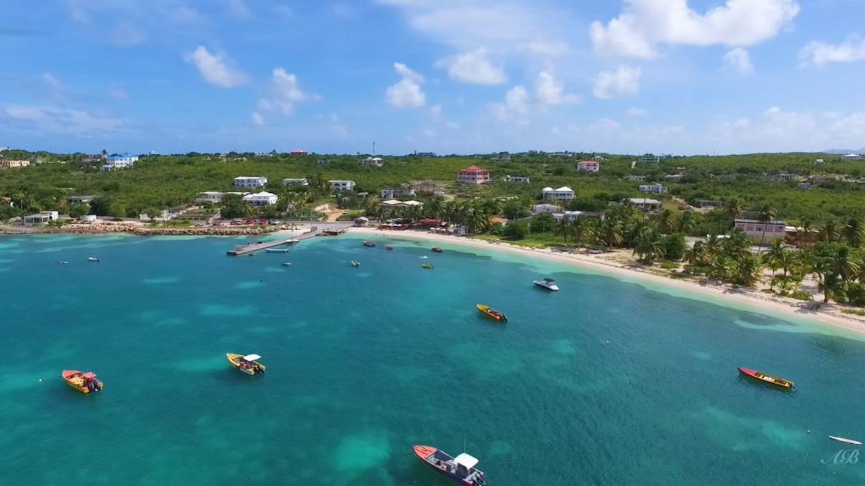 Anguilla : l’île tropicale qui s’enrichit grâce à l’IA | Radio-Canada