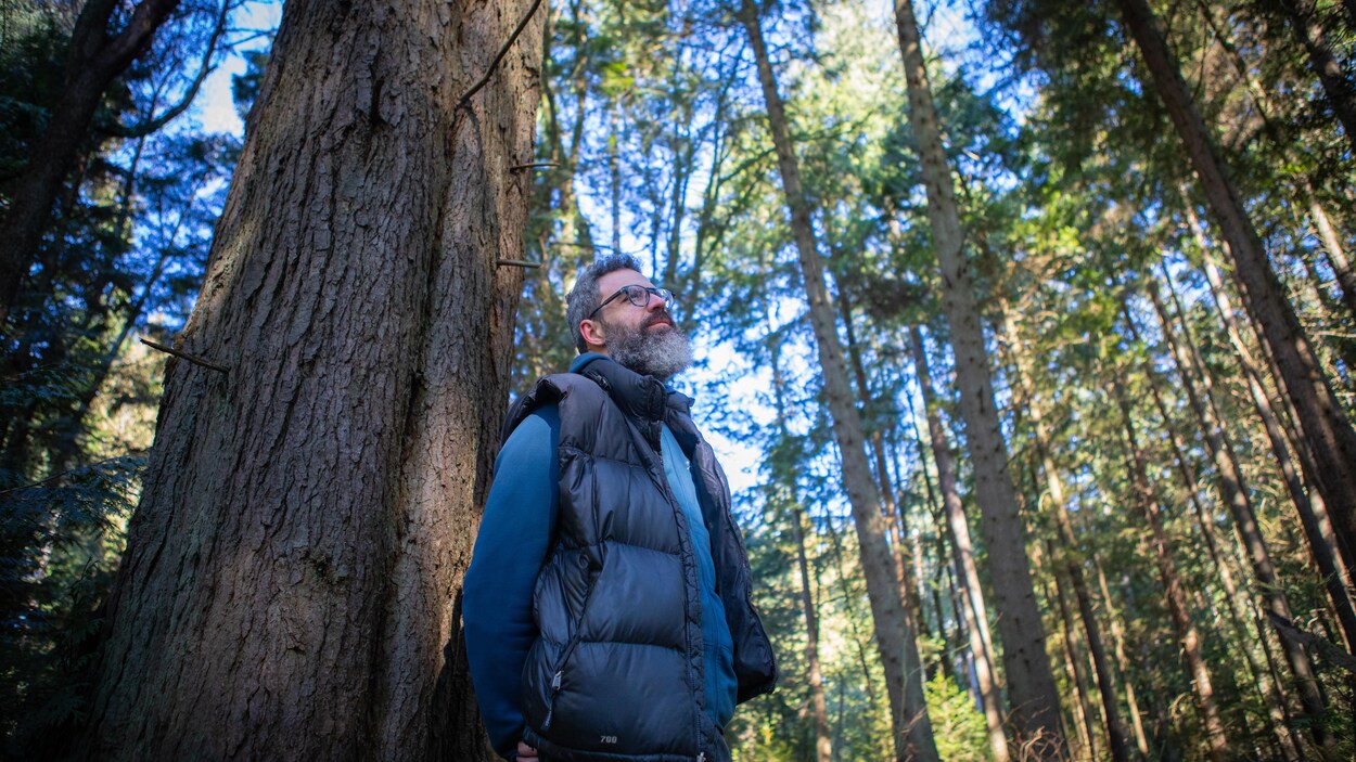 L’art de planter deux milliards d’arbres | Radio-Canada.ca