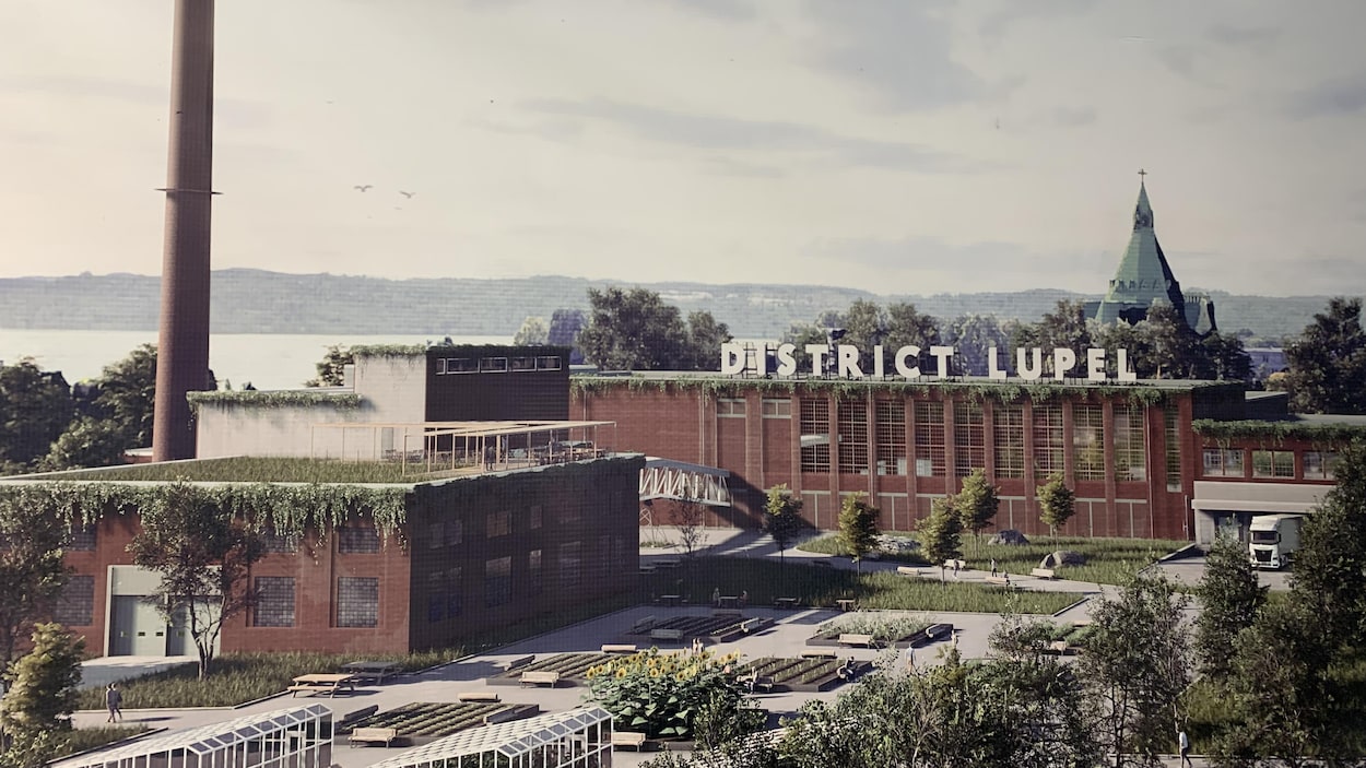 Jusqu’à 50 entreprises attendues dans le District Lupel | Radio-Canada