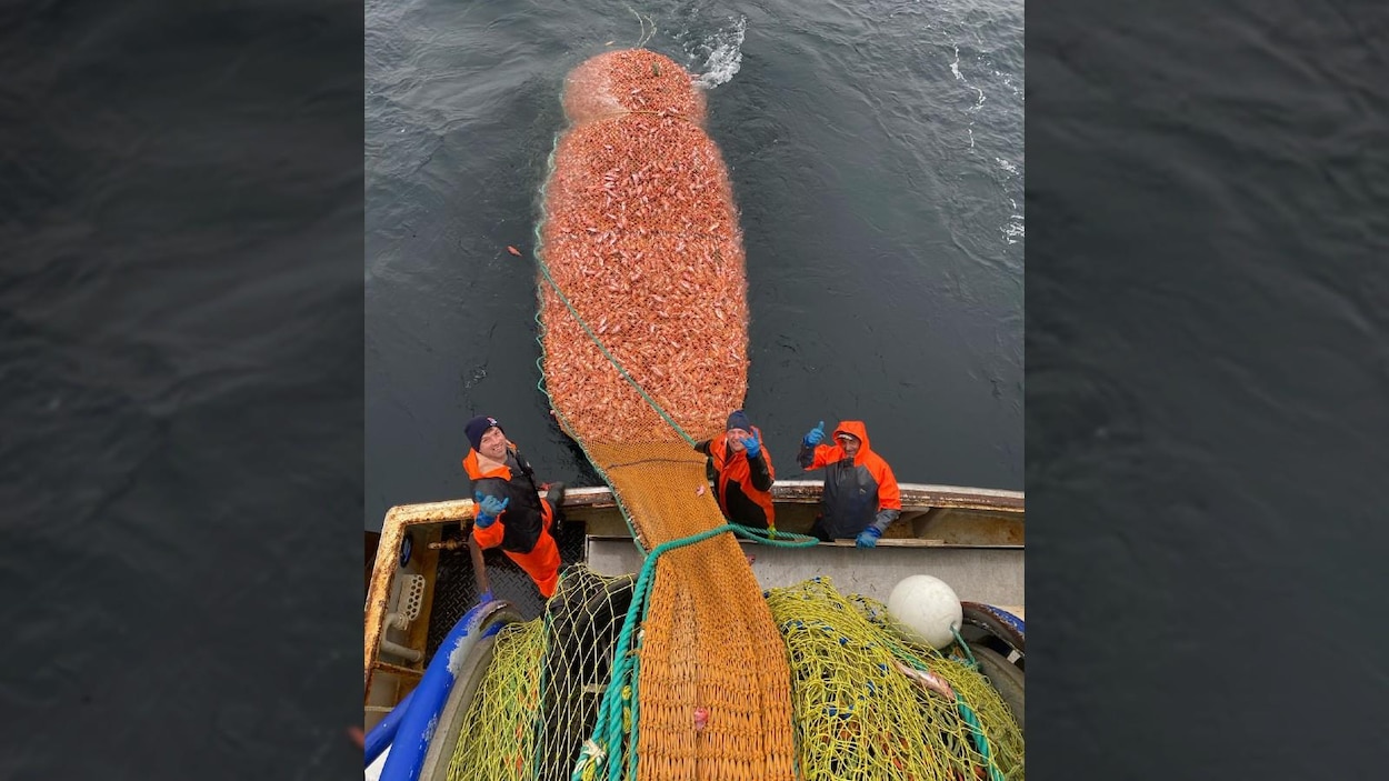 Pêcher le sébaste de façon rentable, l’expérience d’un crevettier de ...