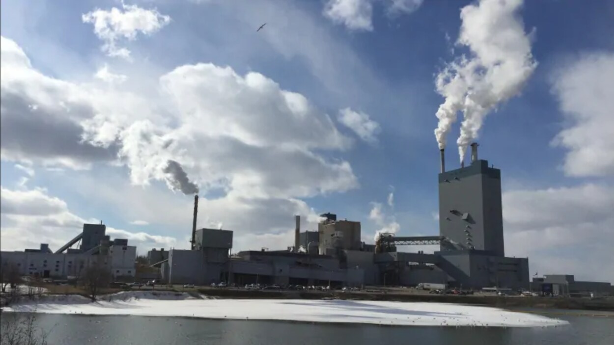 Domtar devra vendre deux usines en Ontario pour acheter Produits ...