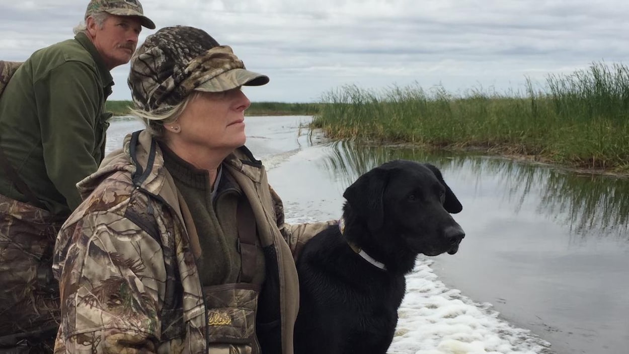 Le Manitoba veut limiter le nombre de chasseurs de canards américains ...