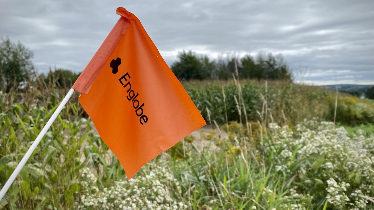 La firme québécoise d’ingénierie Englobe vendue à Colliers | Radio-Canada