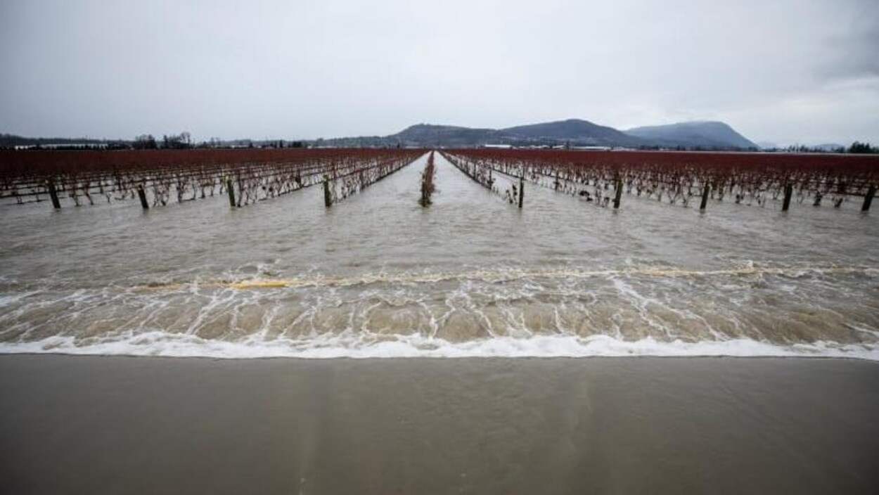 La Colombie-Britannique renforce ses digues contre les inondations du ...
