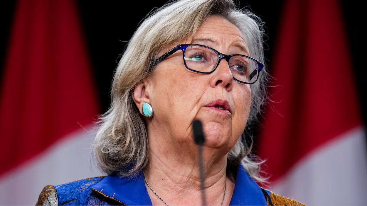 Elizabeth May quittera son poste de cheffe du Parti vert avant les ...