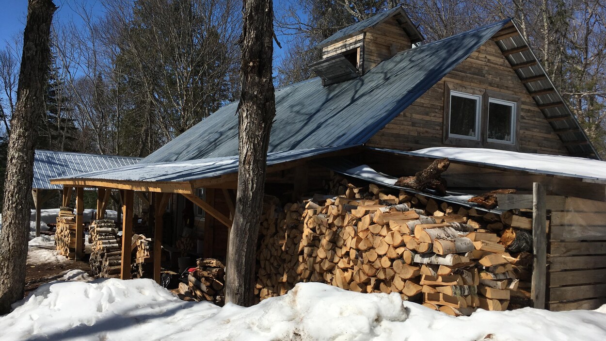 La saison des sucres débute à Kitcisakik | Radio-Canada.ca