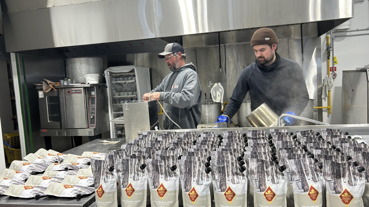 Cette érablière intelligente cherche à assurer l’avenir du sirop ...