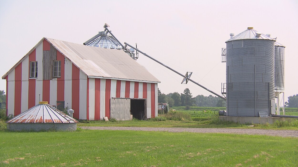 Une coupe dénoncée par le milieu agricole | Radio-Canada