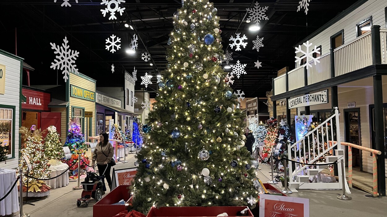 Le 37e Festival des arbres de Saskatoon a pris fin samedi | Radio-Canada.ca